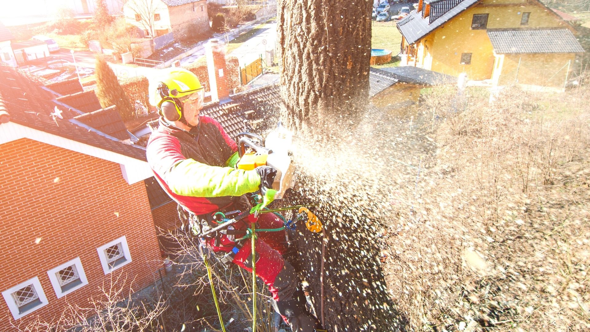 Everest Tree Care Ontario - Everest Tree Care Ontario