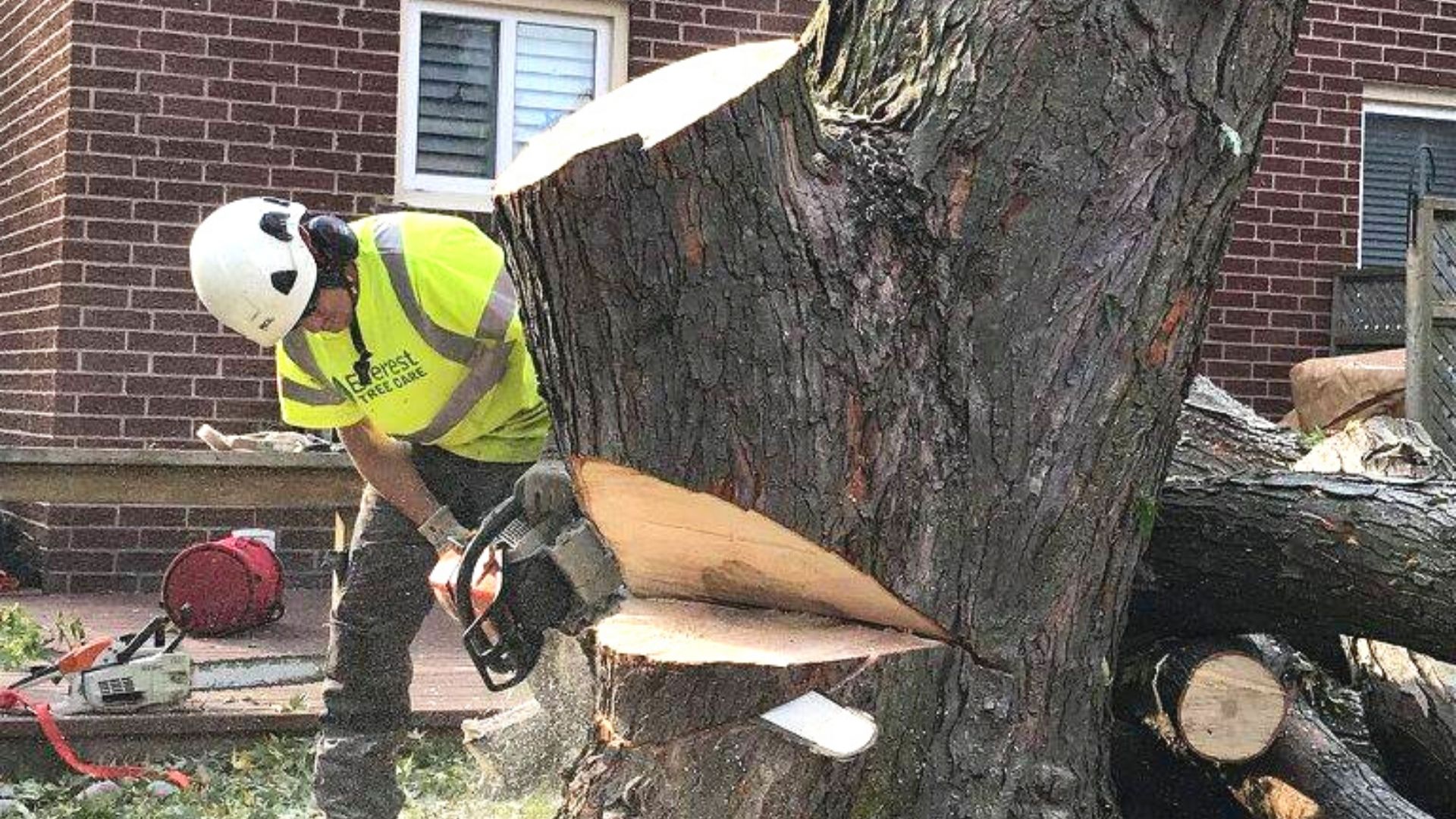 Everest Tree Care Ontario - Everest Tree Care Ontario