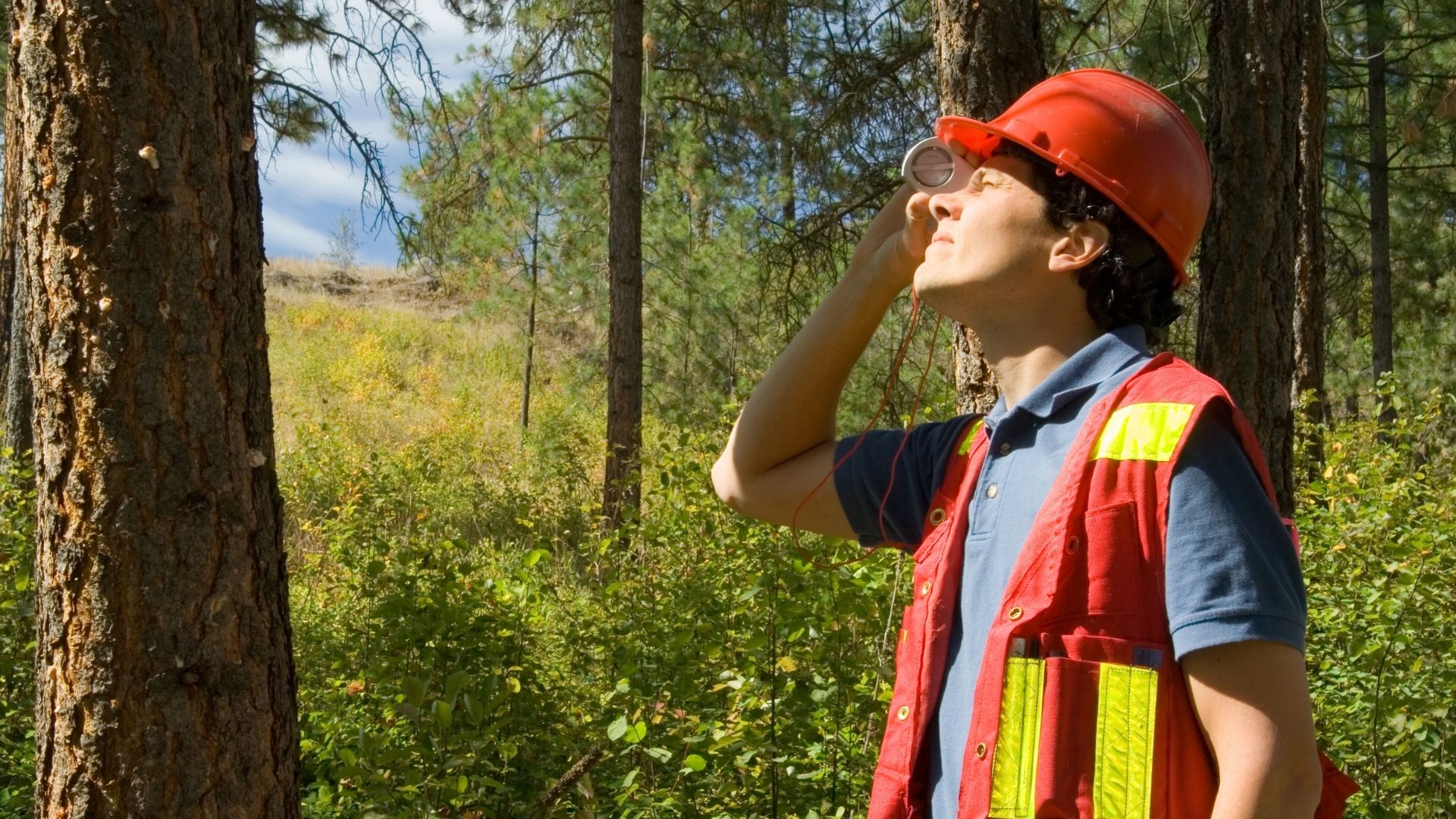 Everest Tree Care Ontario - Everest Tree Care Ontario