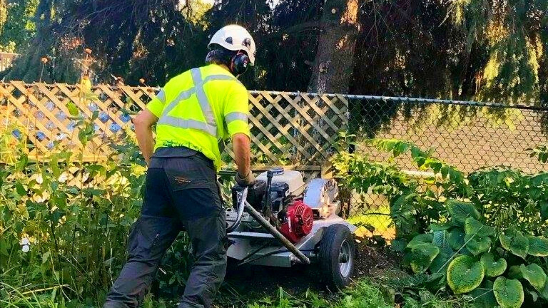 Everest Tree Care Ontario - Everest Tree Care Ontario