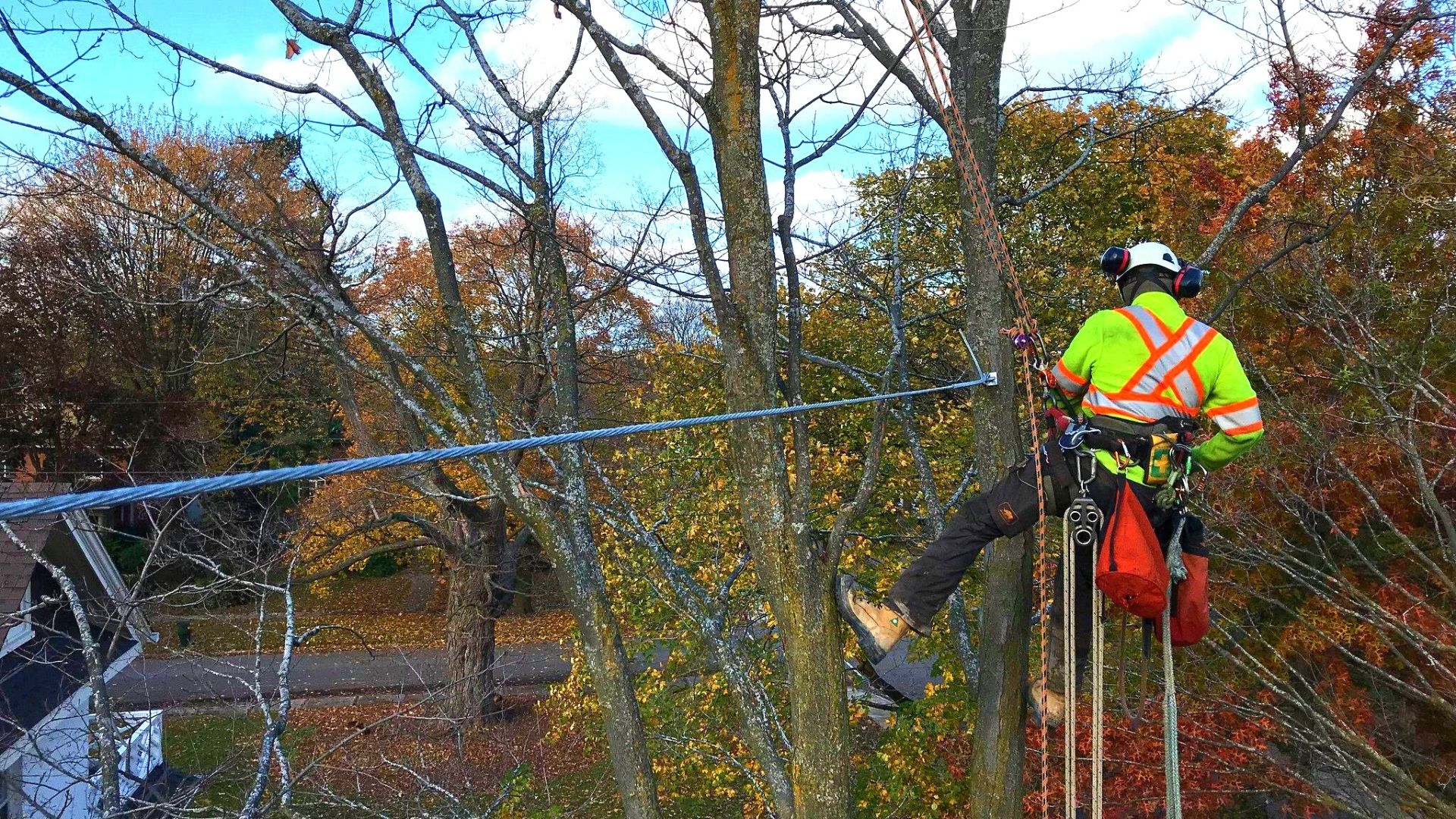 Everest Tree Care Ontario - Everest Tree Care Ontario