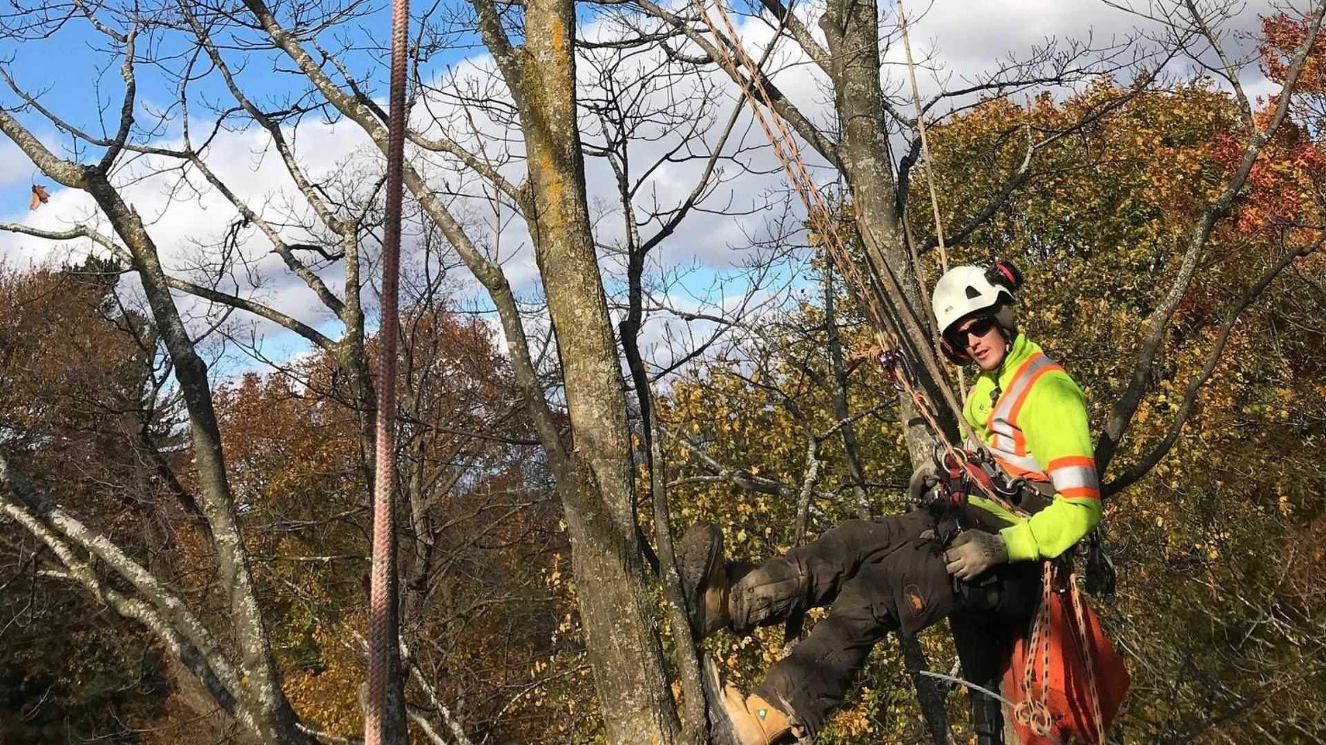 Everest Tree Care Ontario - Everest Tree Care Ontario