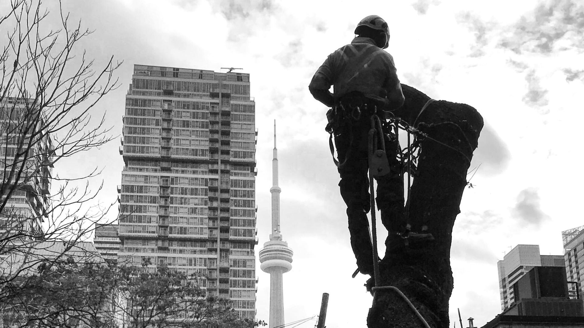 Everest Tree Care Ontario - Everest Tree Care Ontario